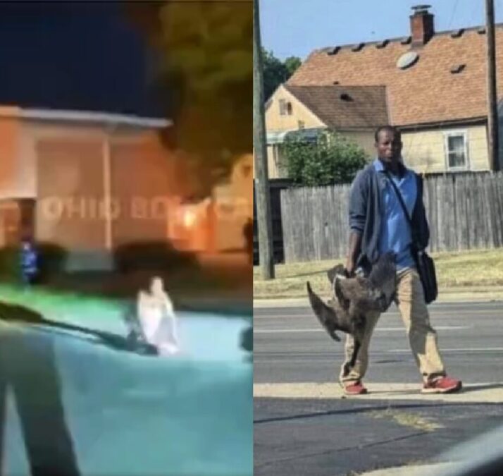 Photo & Video: Haitan Immigrants, Woman, Stealing & Eating Pets In Ohio ...